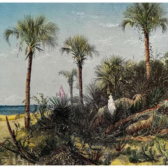 Art | On The Coast Of Florida 1974 Lithograph Of Victorian Era ...